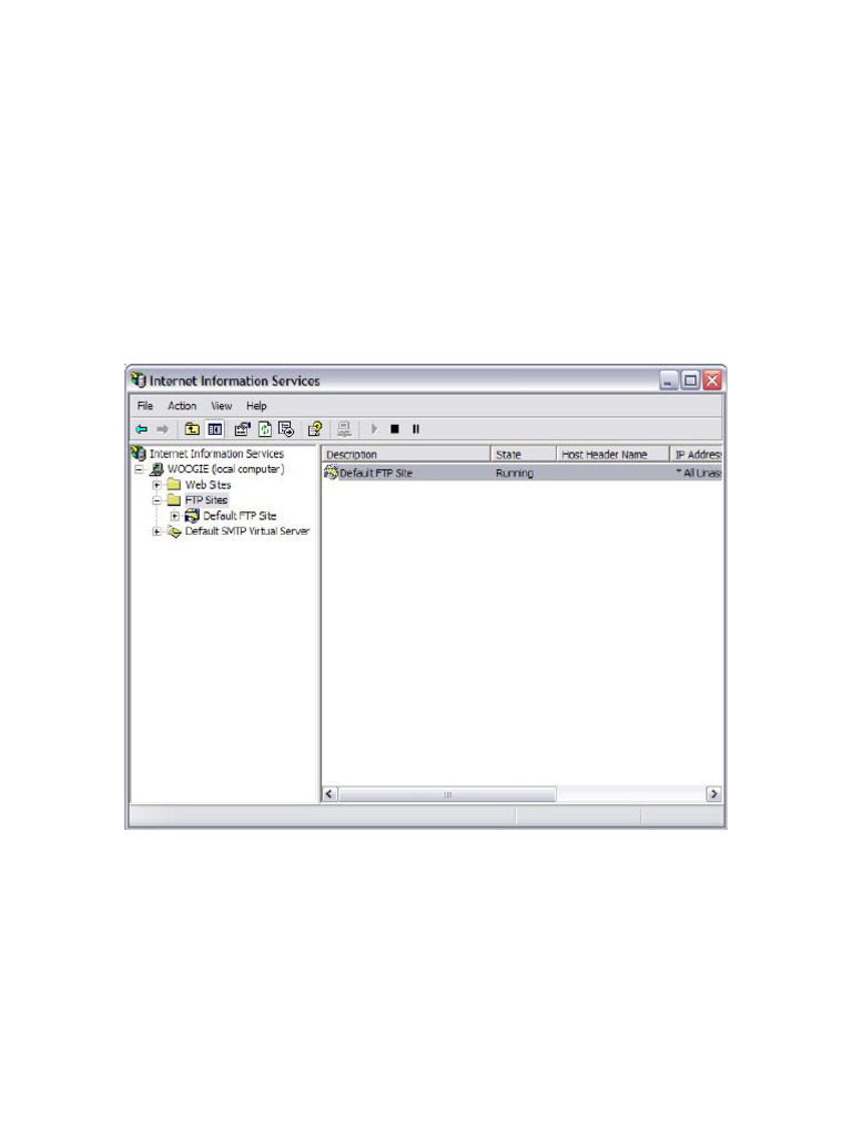 Microsoft Windows XP Professional Setting Up FTP & Web Server | PDF