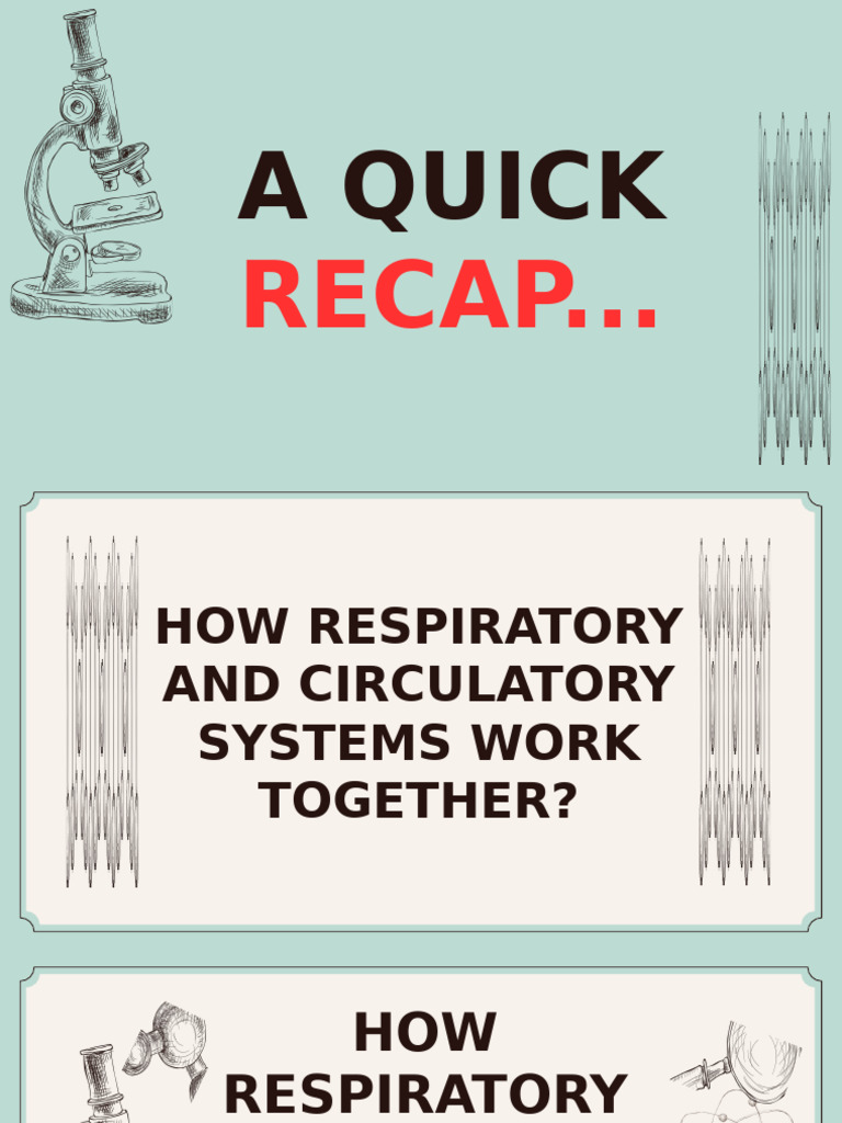 How Respiratory and Circulatory System Works Together | PDF