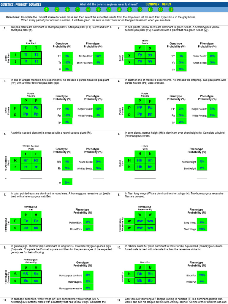 Genetics - Digital Punnett Squares - Genetics Punnett Squares | PDF