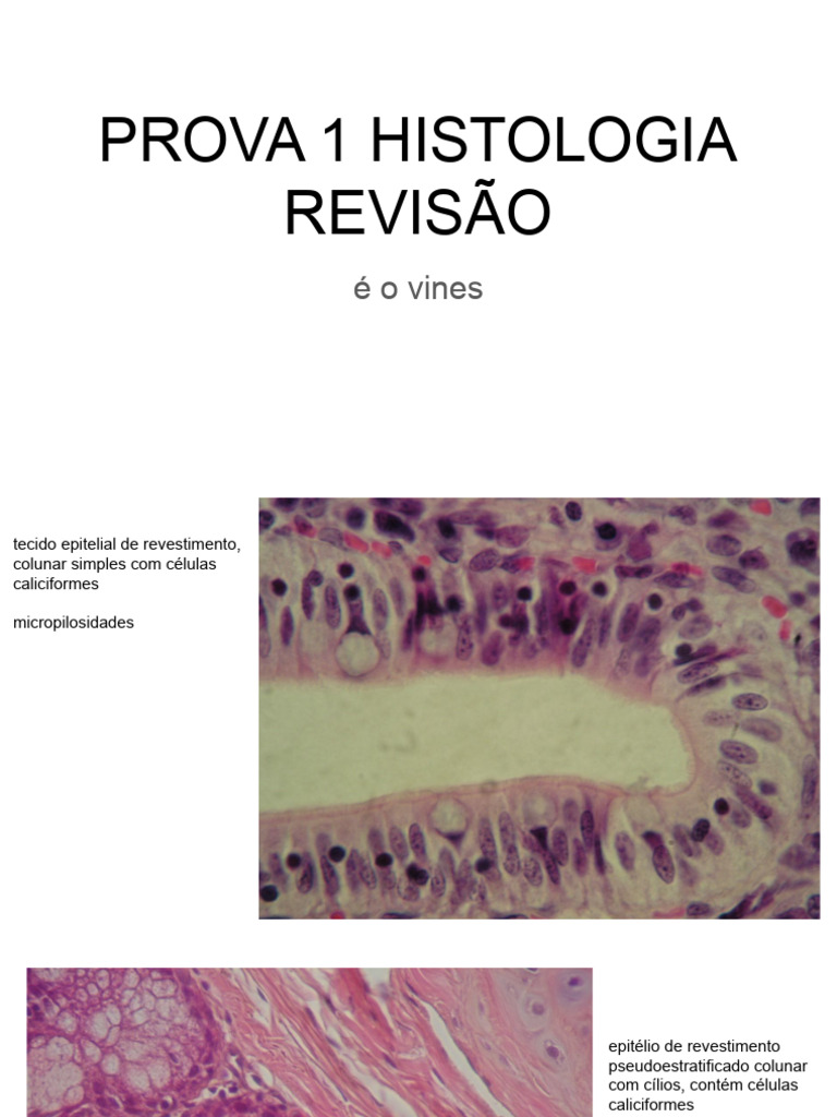 Estudo Histologia Prova 1 | PDF