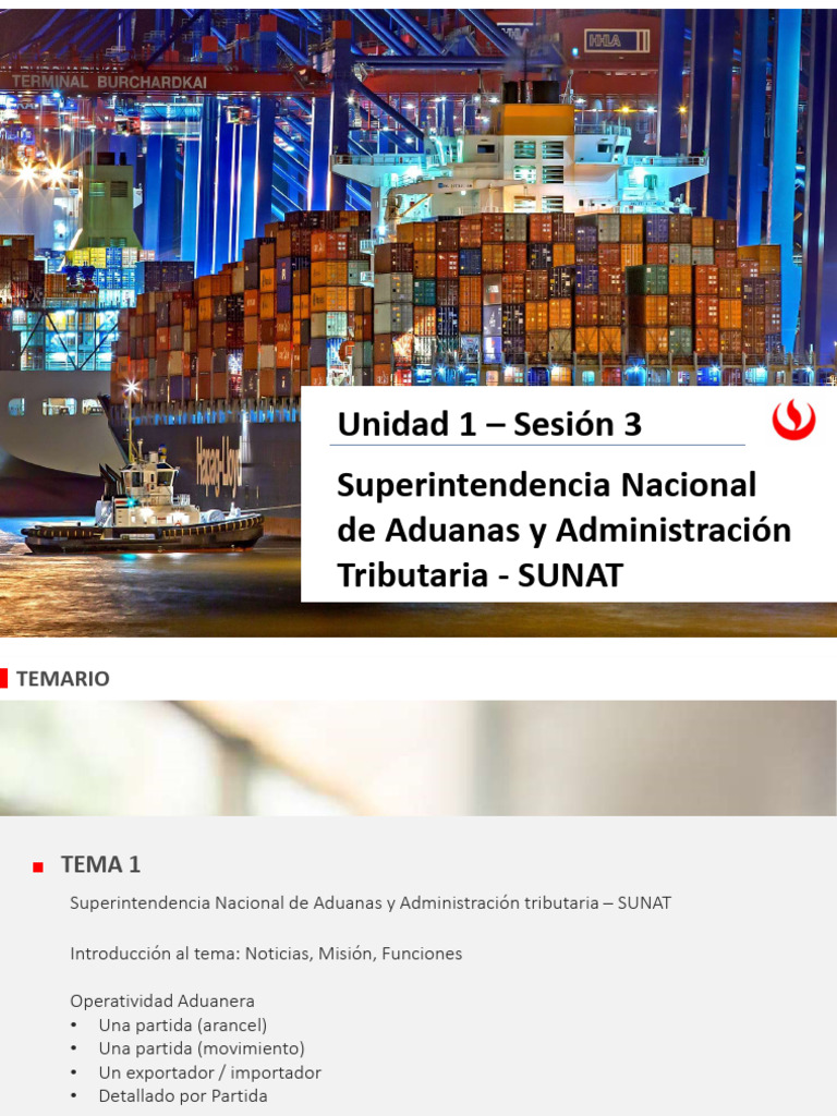 Sesión 3 SUNAT Durante 2024 | PDF