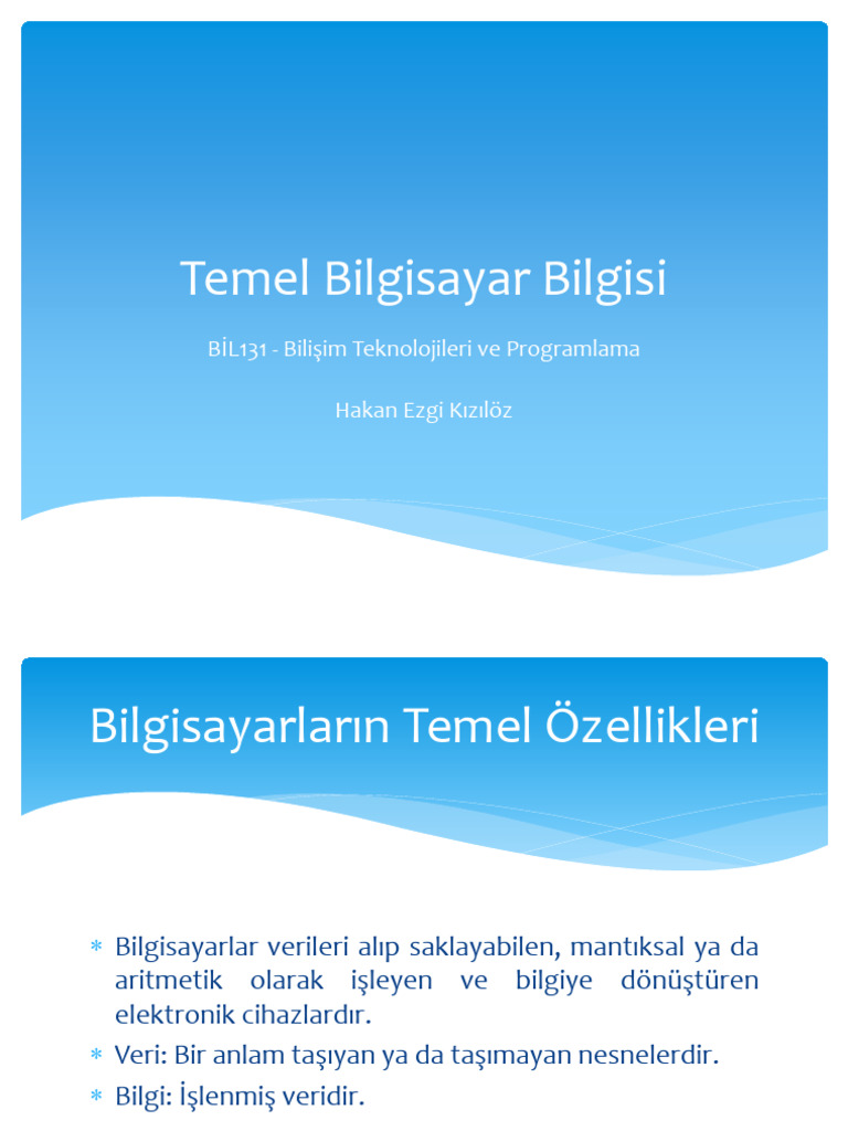 Temel Bilgisayar Bilgisi | PDF