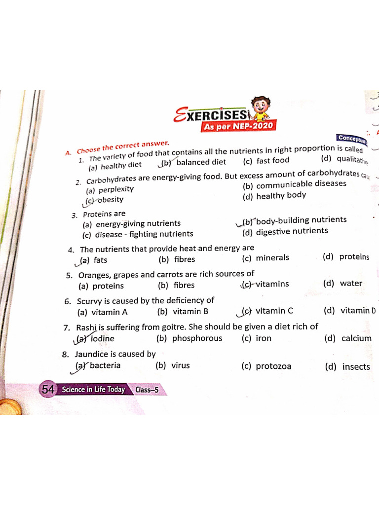 Class - 5sub - Science ch-5 For Test | PDF