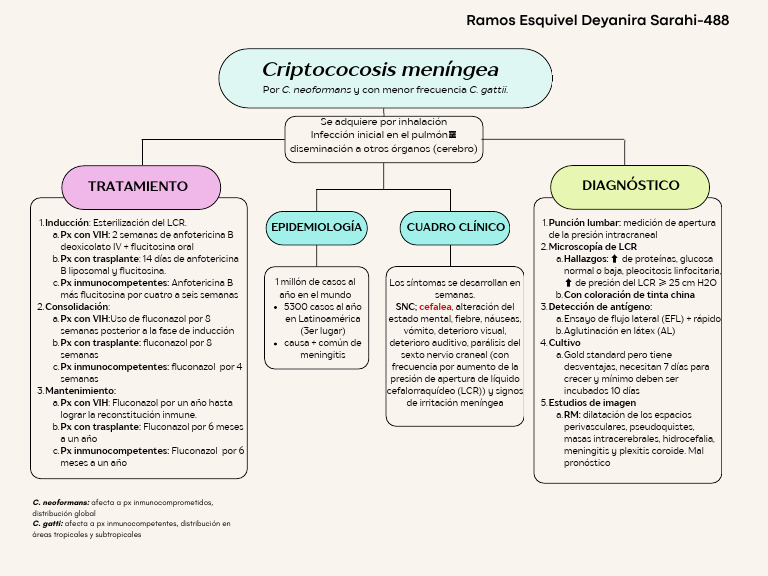 Mapa Conceptual-Criptococosis Meningea | PDF