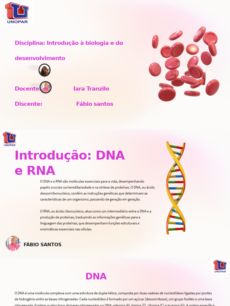Introducao DNA e RNA | PDF