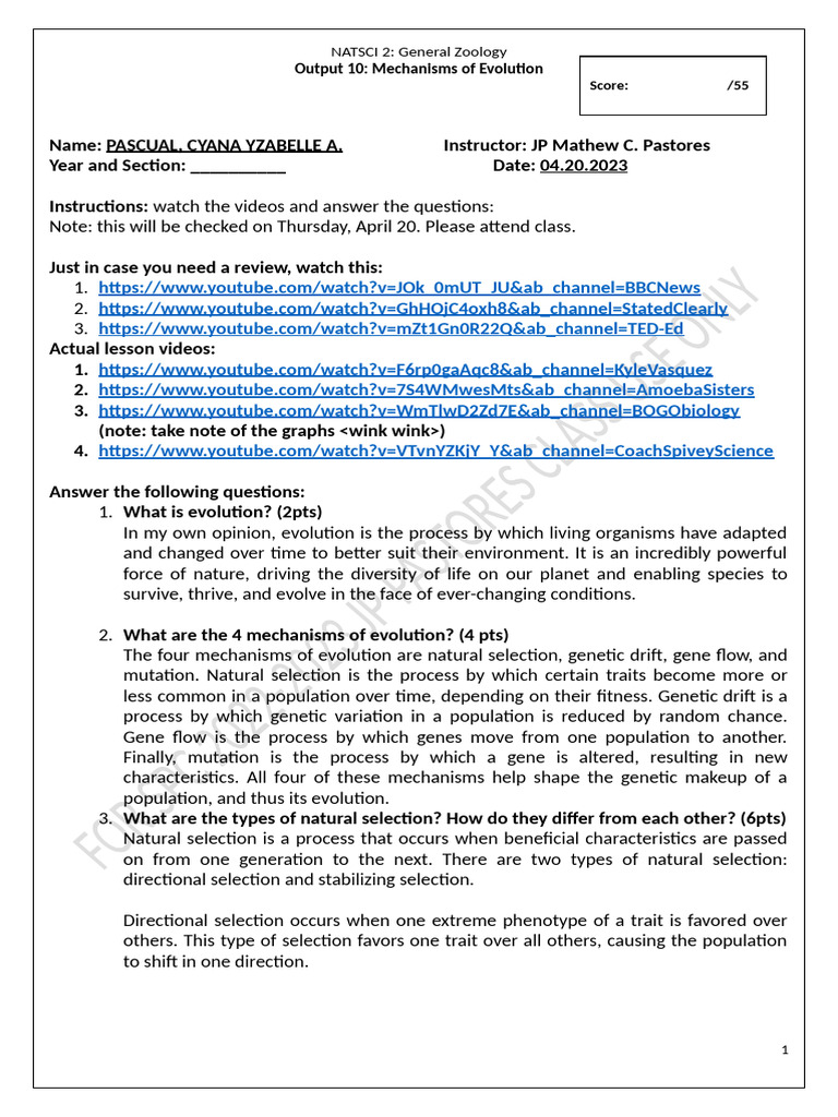 Output 10 Mechanisms of Evolution.pascUAL | PDF