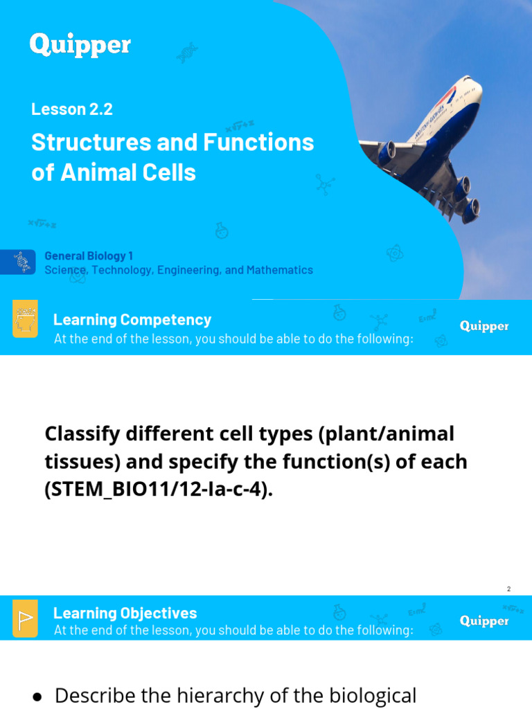 5 - Structures and Functions of Animal Cells | PDF