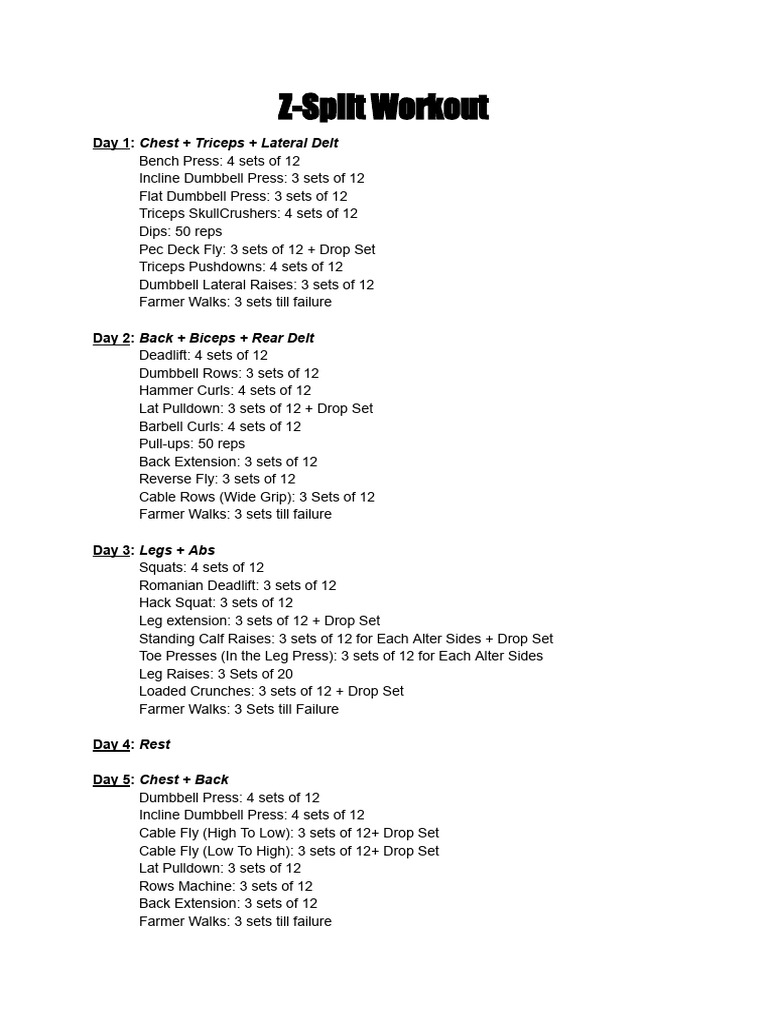Z-Split Workout | PDF