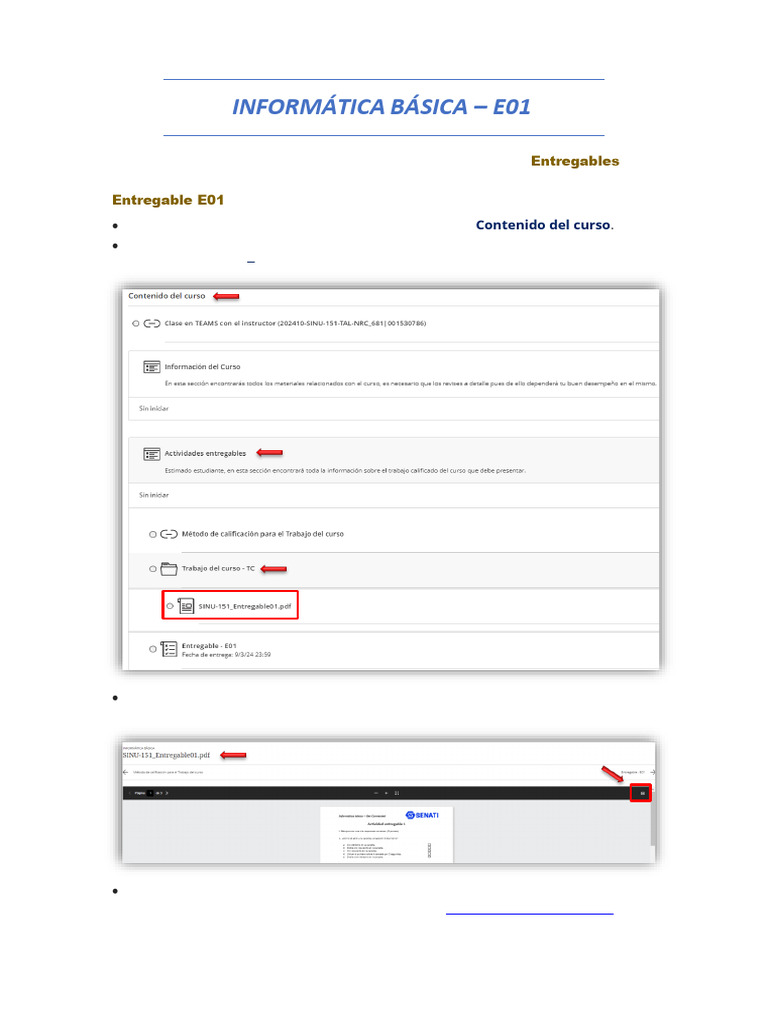 Indicaciones Entregable E01 | PDF | Informática