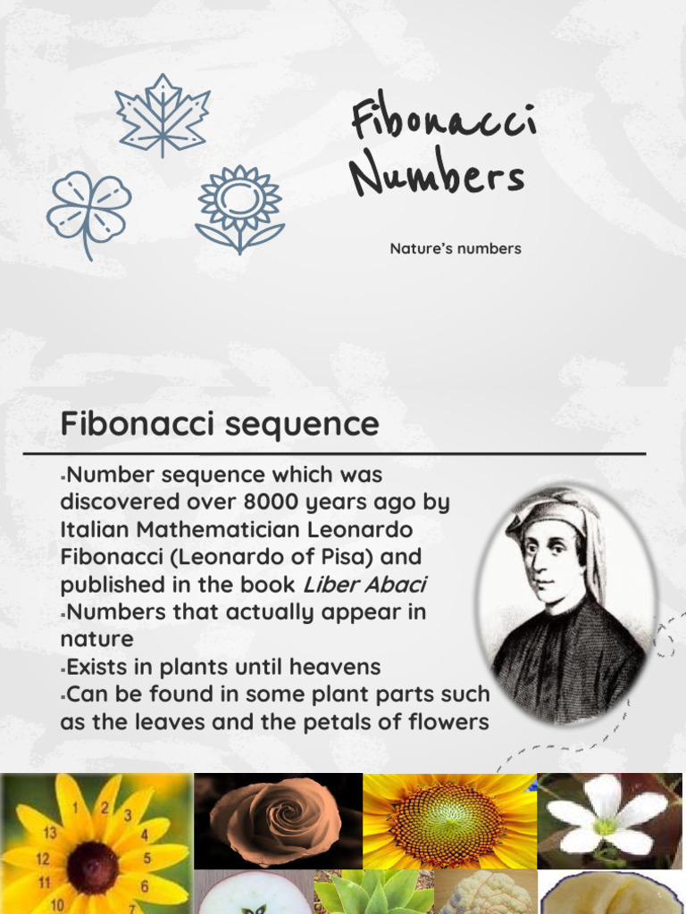 Module 1 - Fibonacci Arithmetic and Geometric Sequence | PDF