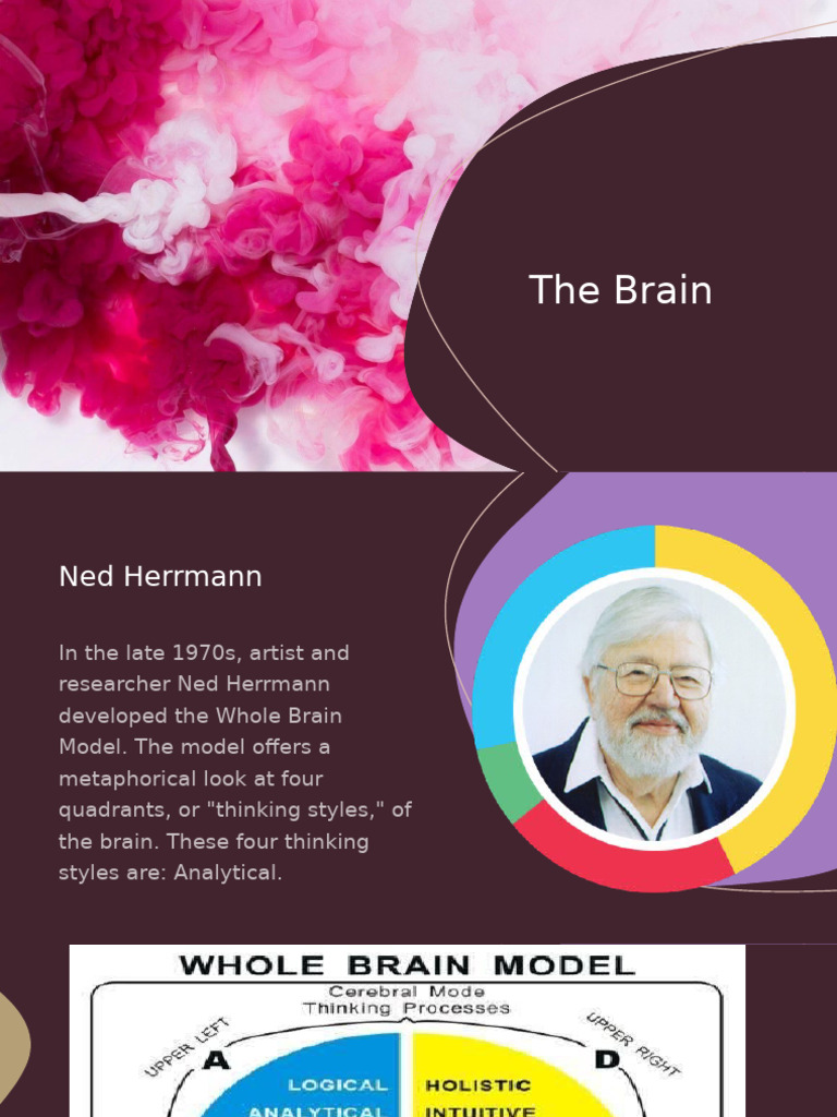 The Brain | PDF