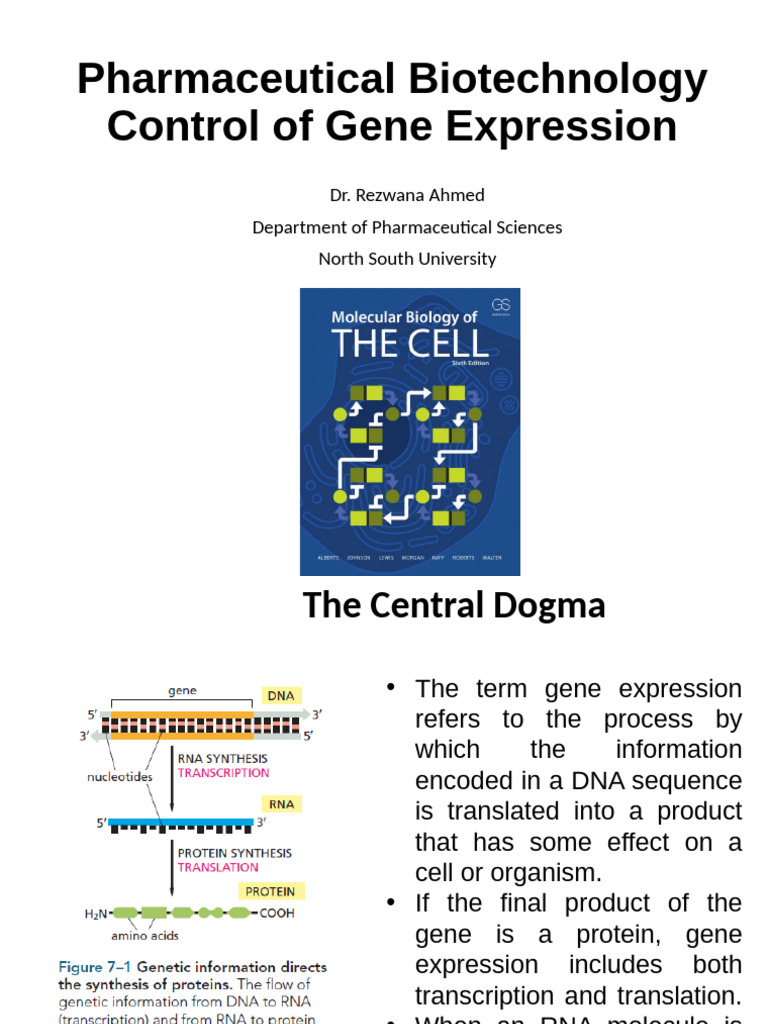 Lec 4+Control+of+Gene+Expression | PDF