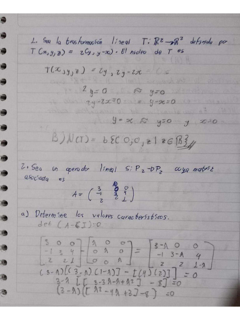 Segundo Examen Parcial Álgebra Lineal | PDF