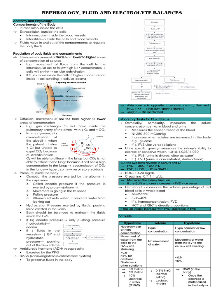 Nephrology Fluid and Electrolyte Balances | PDF