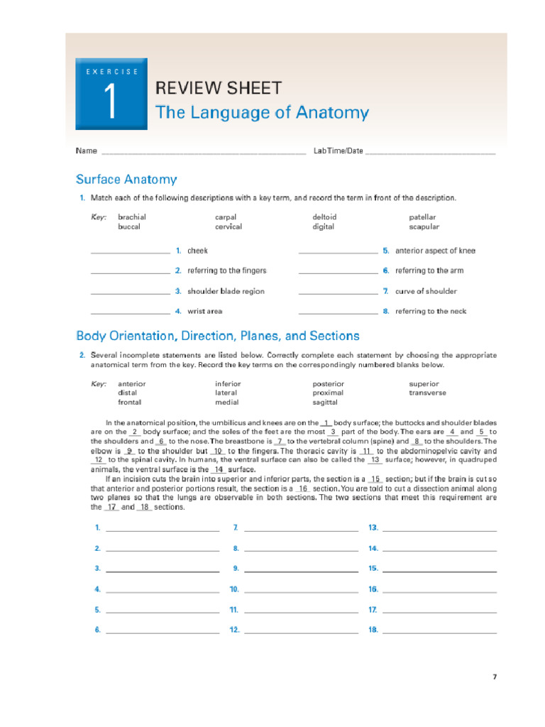 Review Sheet 1-5 | PDF