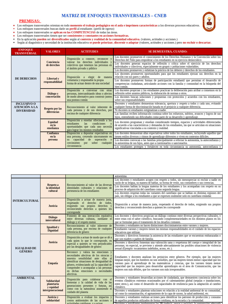 8. Matriz de Enfoques Transversales | PDF