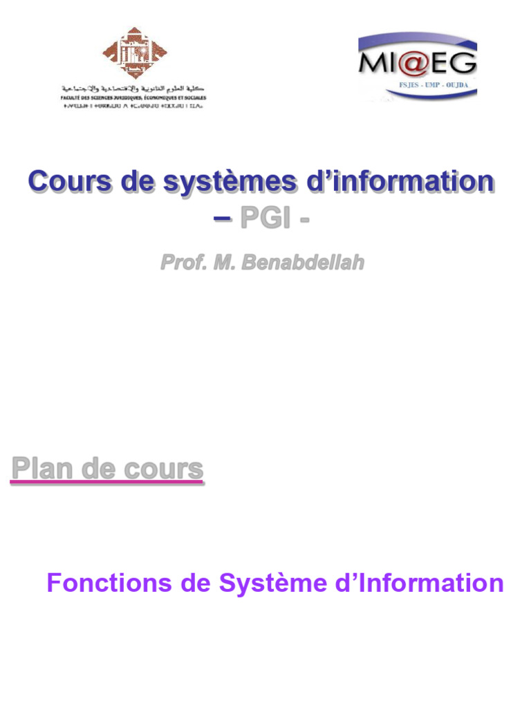 Cours PGI | PDF