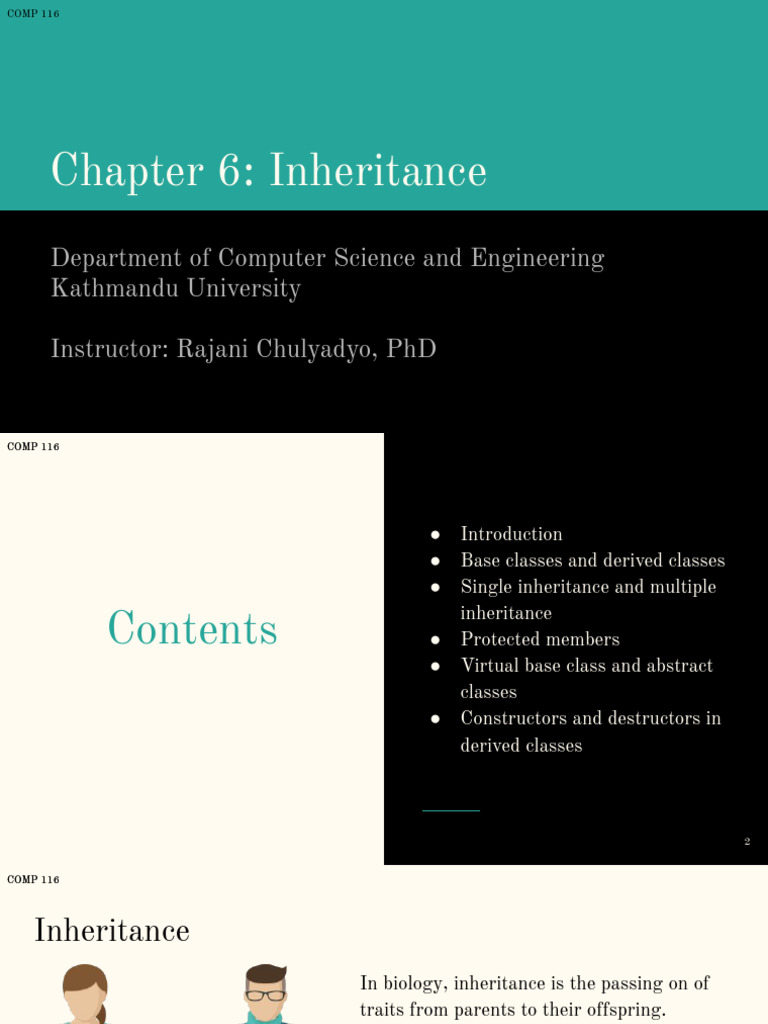 Chapter 6 - Inheritance | PDF