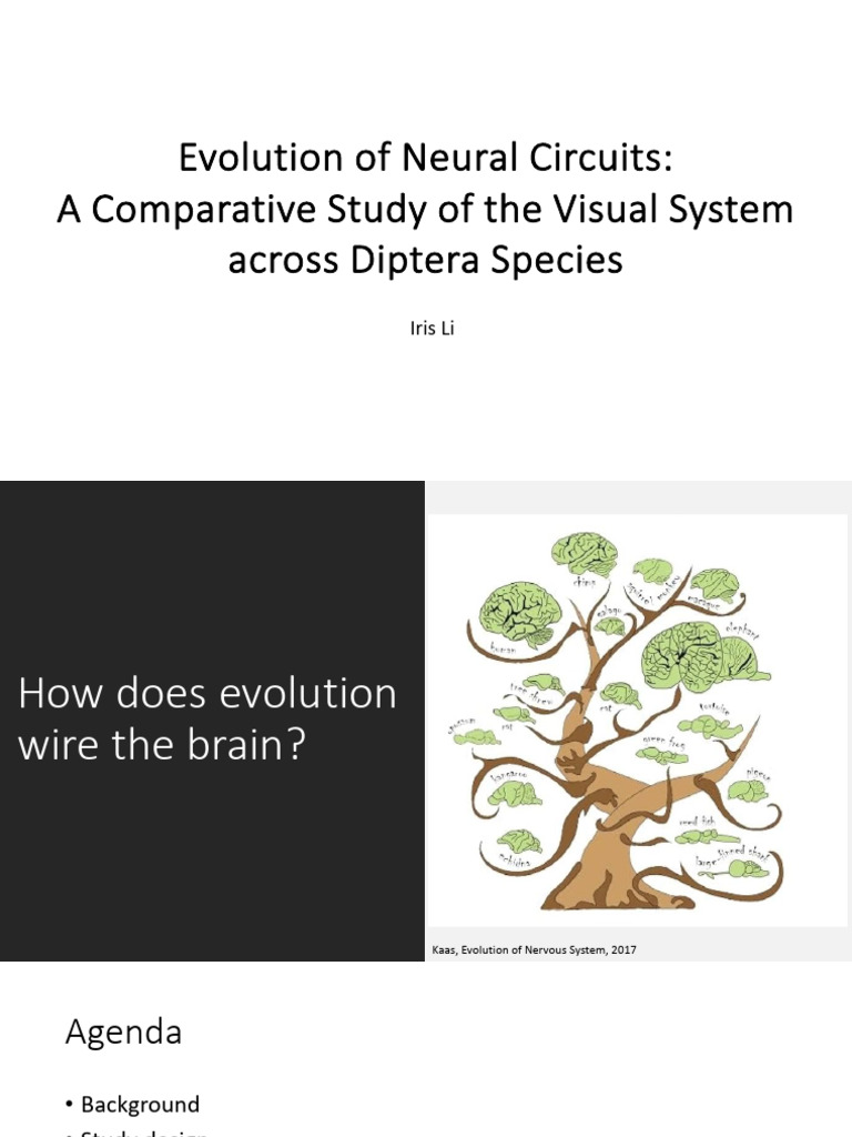 IDL ThesisDefense | PDF