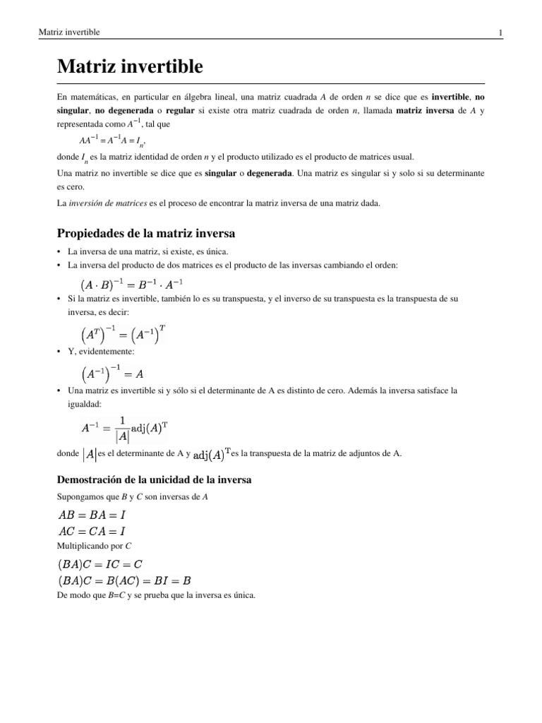 Matriz Invertible | PDF | Teoría del operador | Matriz (Matemáticas)