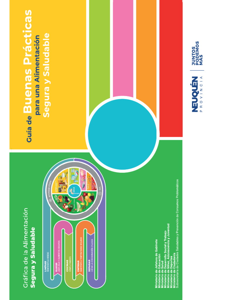 Guia-de-Buenas-Practicas | PDF