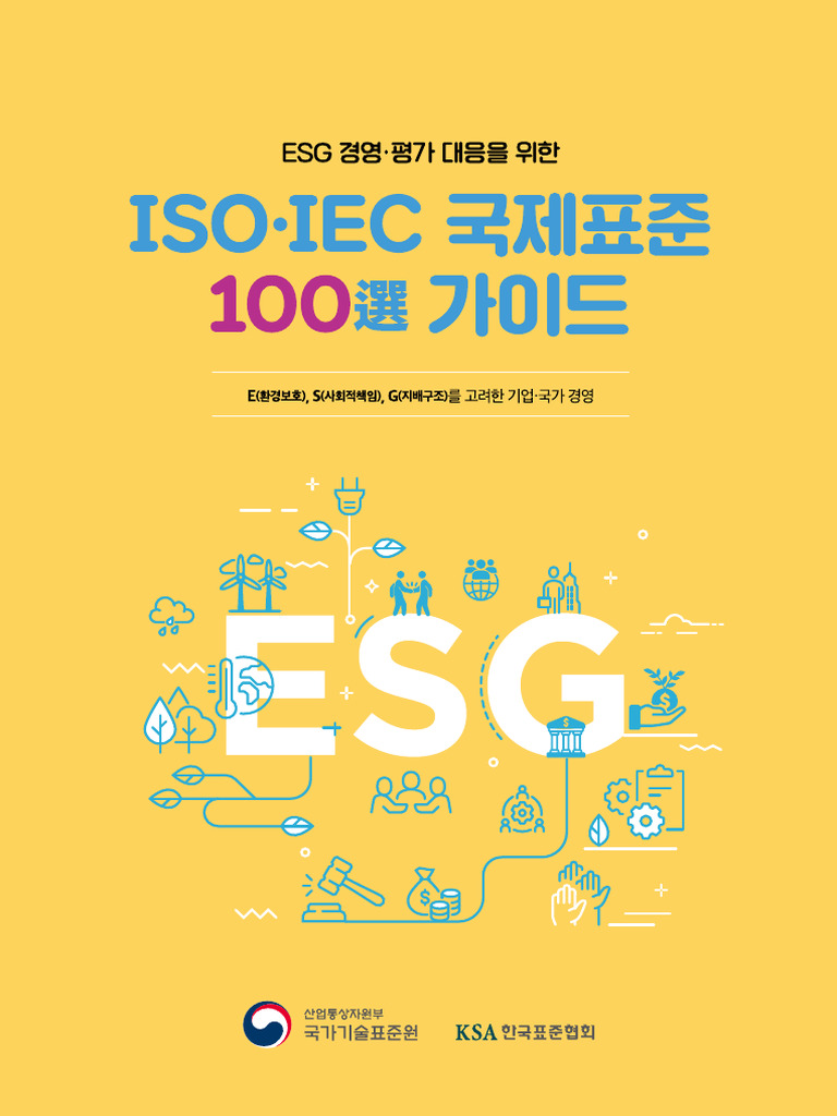 ESG International Standard Guidebook | PDF