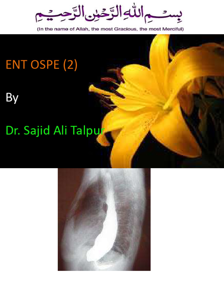Ent Ospe 2-1 | PDF