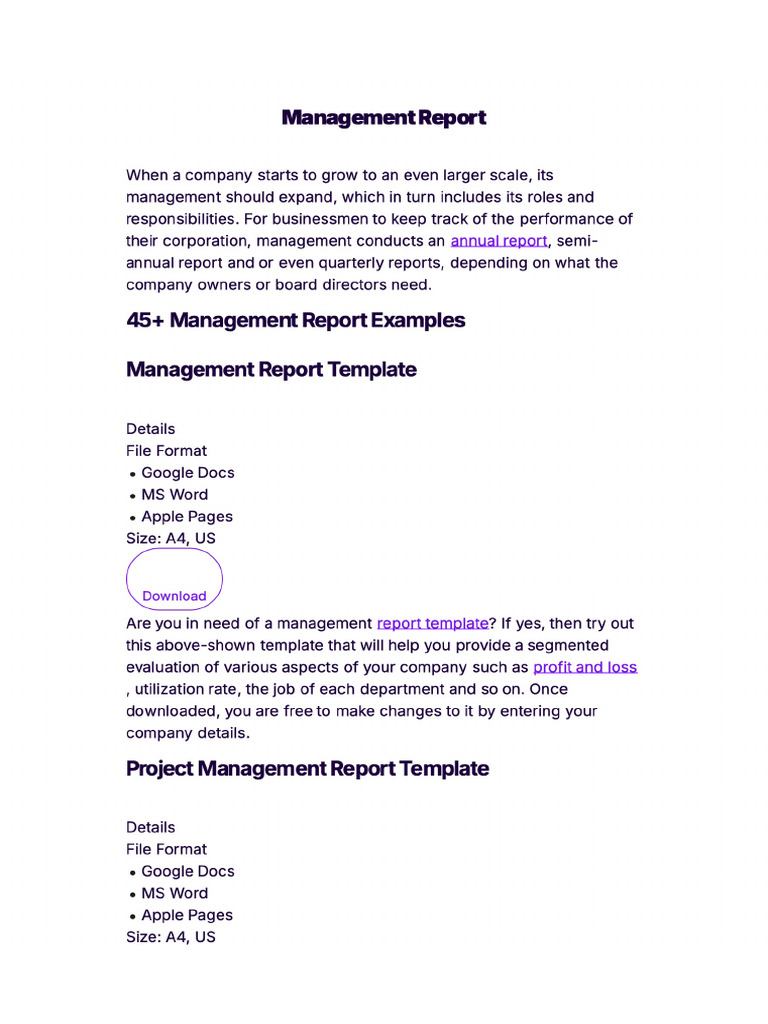 Management Report | PDF