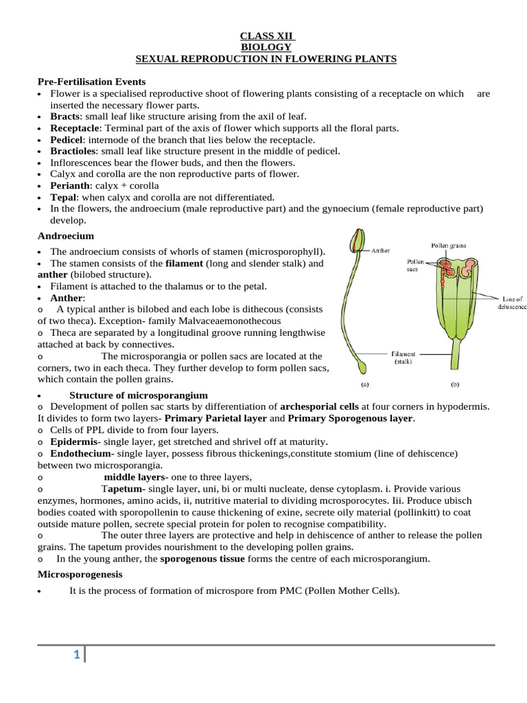 6914a1c7-1cce-4cae-97f5-067c37cf60dc | PDF