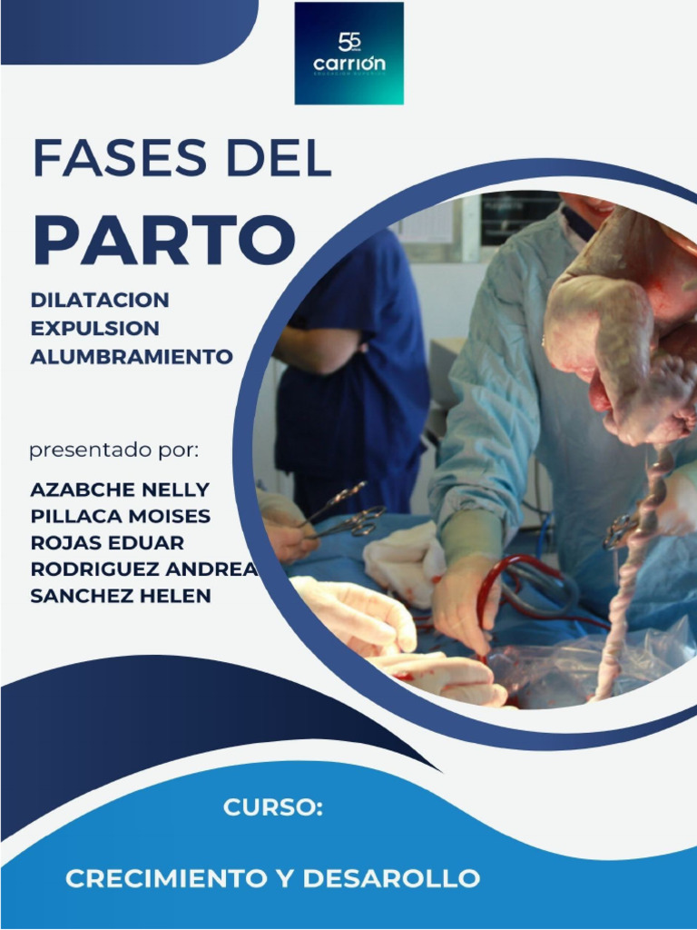 Informe Fases Del Parto (Dilatacion, Expulsion y Alumbramiento) | PDF