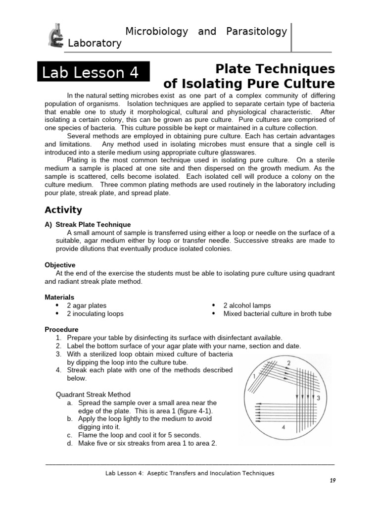 Lab 4 - Plate Isolation Techniques | PDF | Biology | Science & Mathematics