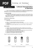 Bacterial Growth Patterns in Cultures | PDF | Growth Medium | Bacteria