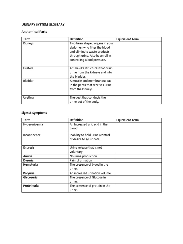 Urinary System Glossary | PDF