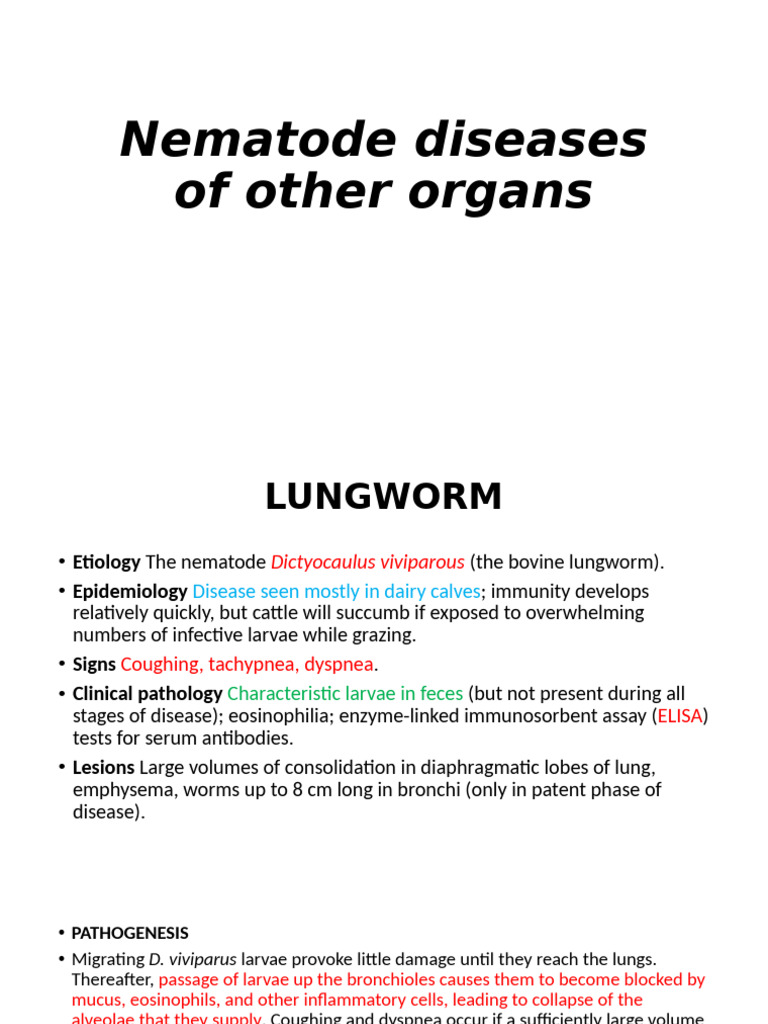 61 - Lungworm-1 | PDF