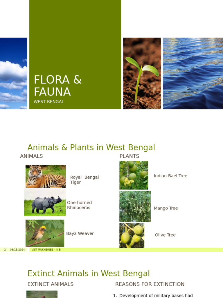Flora & Fauna of West Bengal | PDF