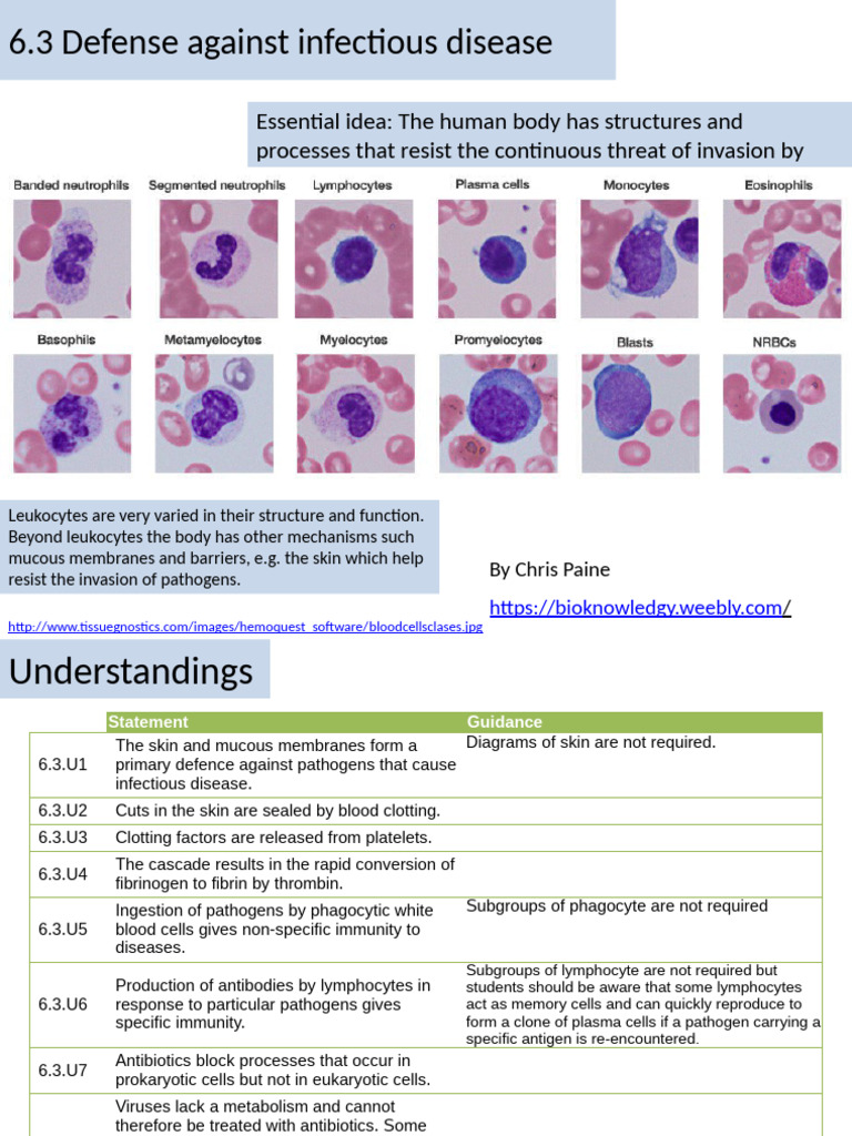 Biok 6.3 Defense Against Infectious Disease | PDF