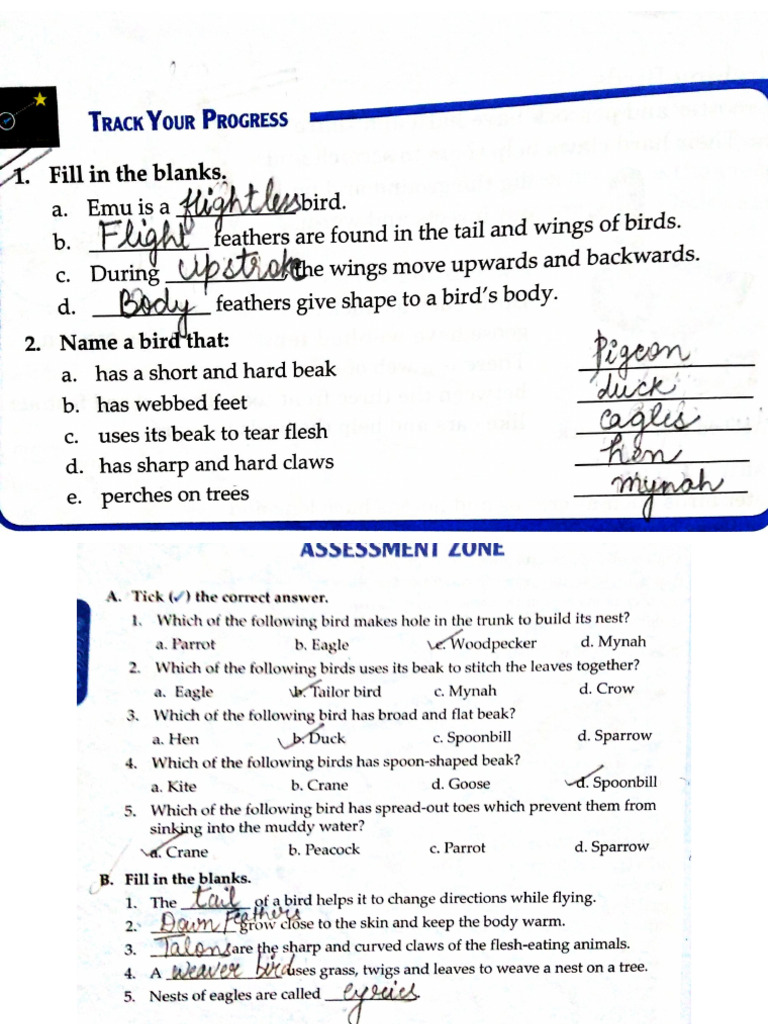 Science Chapter 4 Exercises | PDF