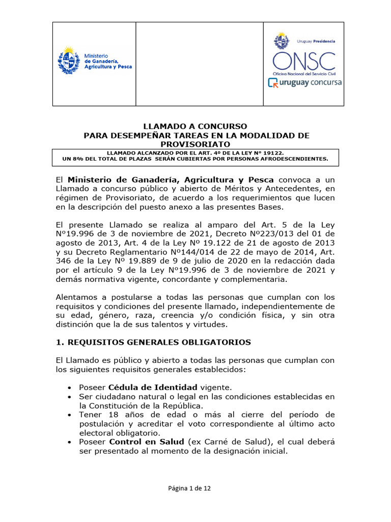 Bases y Perfil Provisoriato Afro MyA Exp.11745 | PDF