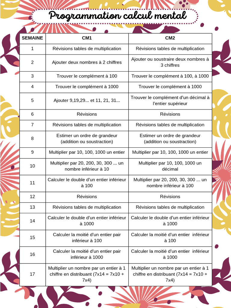 Programmation Calcul Mental | PDF