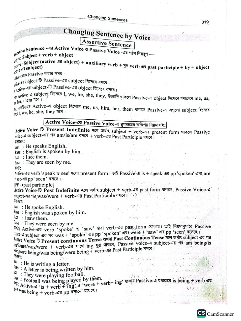 Changing Sentences | PDF