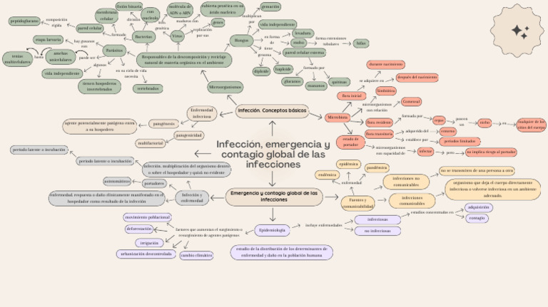 Infección y Conceptos Básicos | PDF