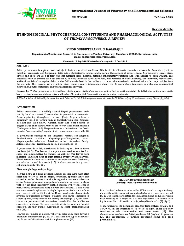 Ethnomedicinal Phytochemical Constituent | PDF
