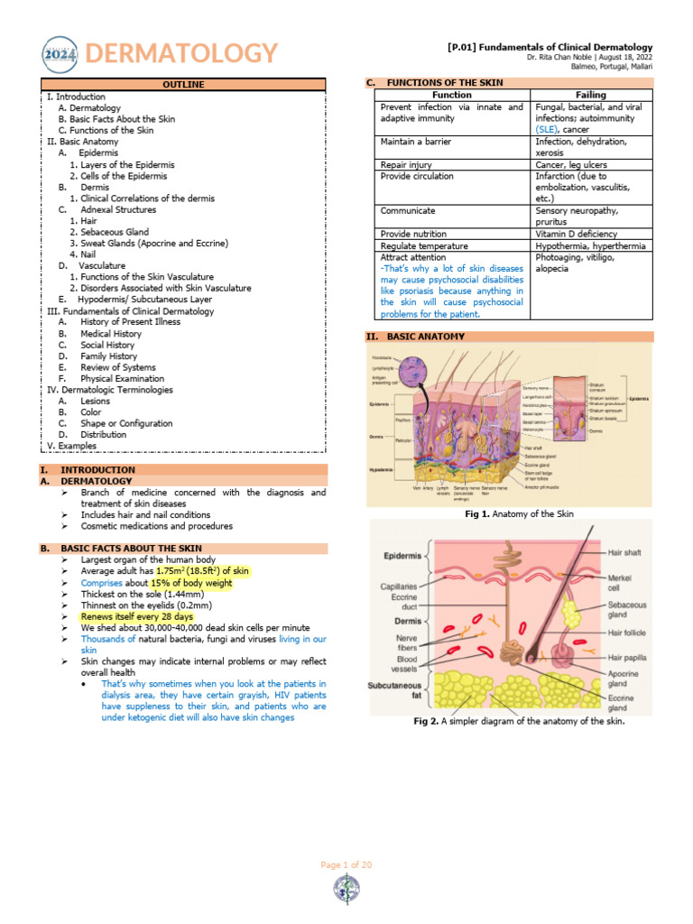 (DERM) P.01 Fundamentals of Clinical Dermatology | PDF
