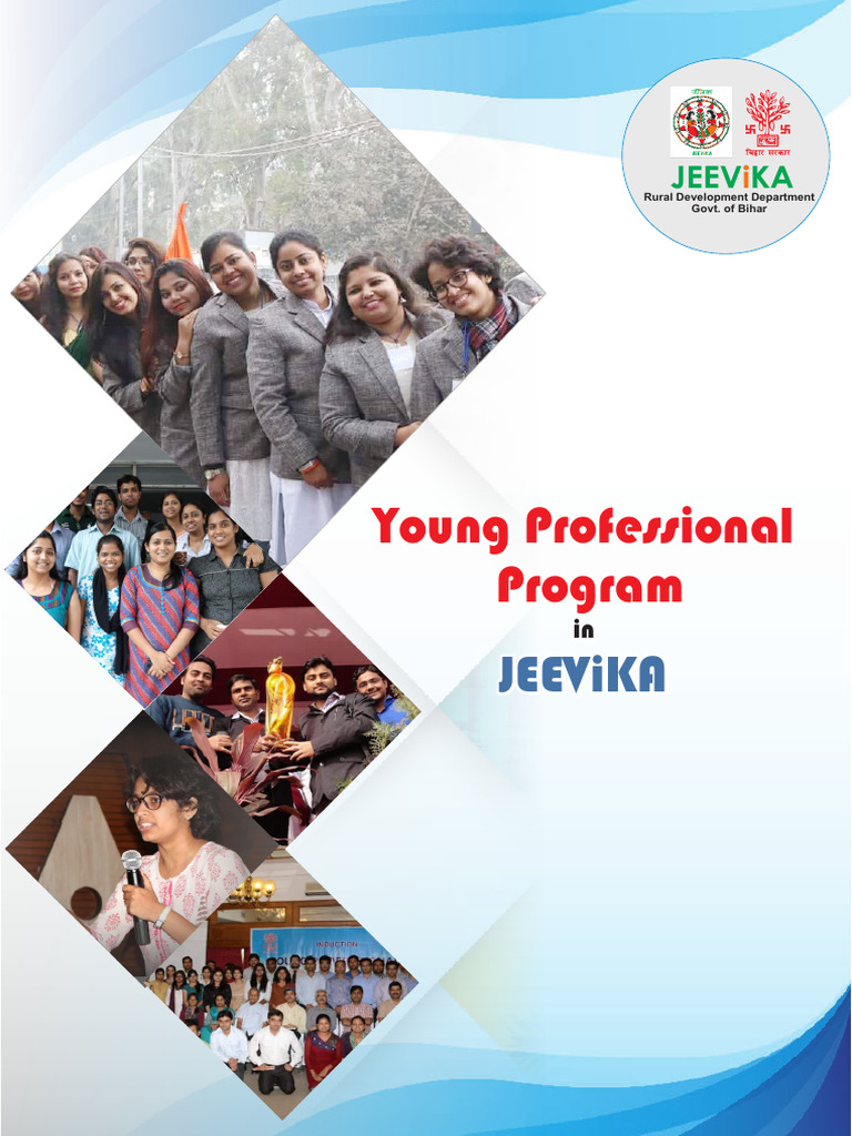 Young Professional Program Brochure | PDF