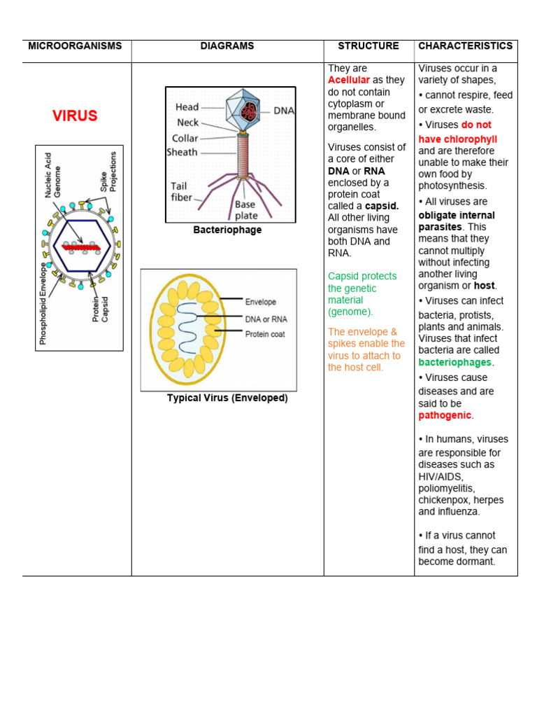 Microorganisms Table (Summarized) | PDF | Virus | Bacteria