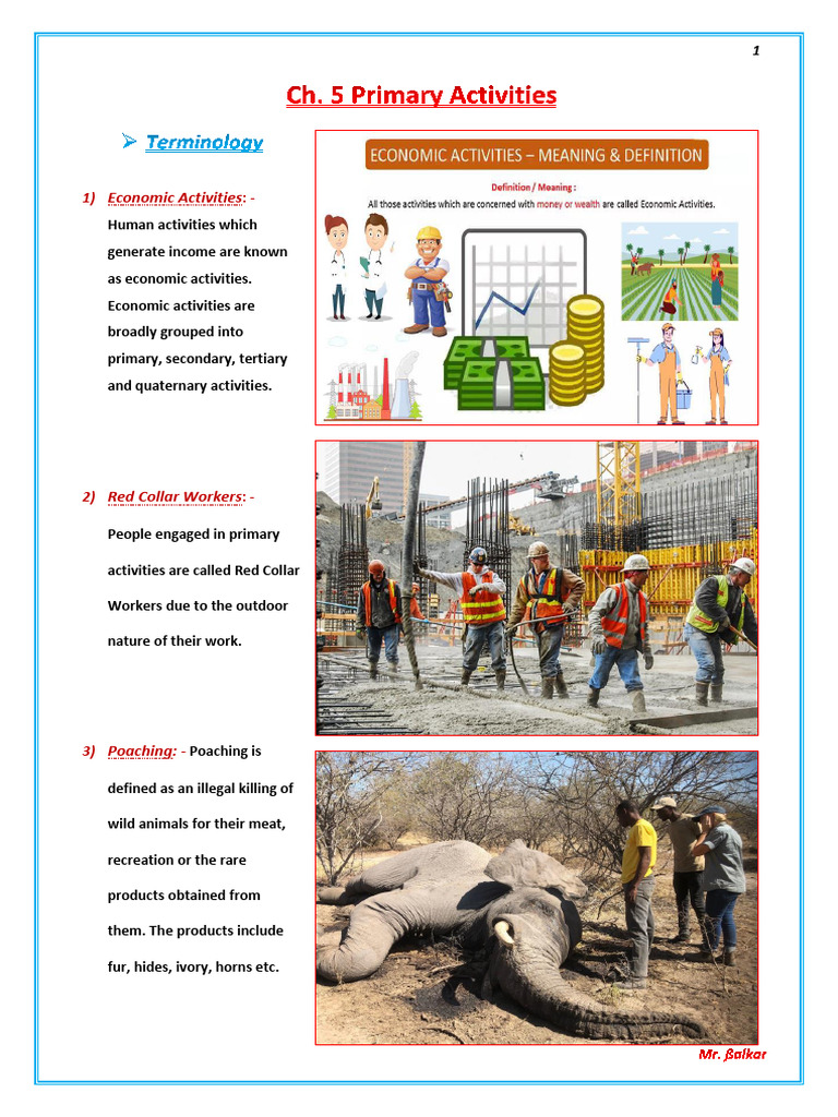 CH 5 Primary Activities-2 | PDF