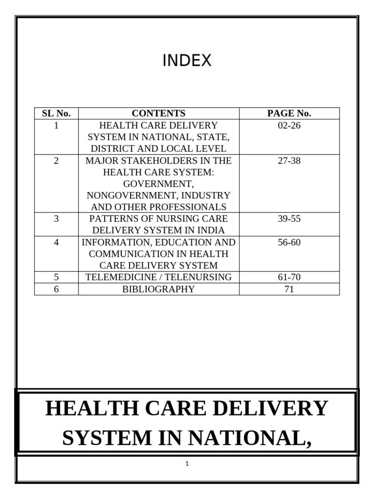 Health Care Delivery System | PDF