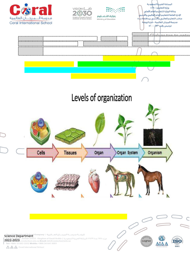Lesson 1 Module 2 | PDF