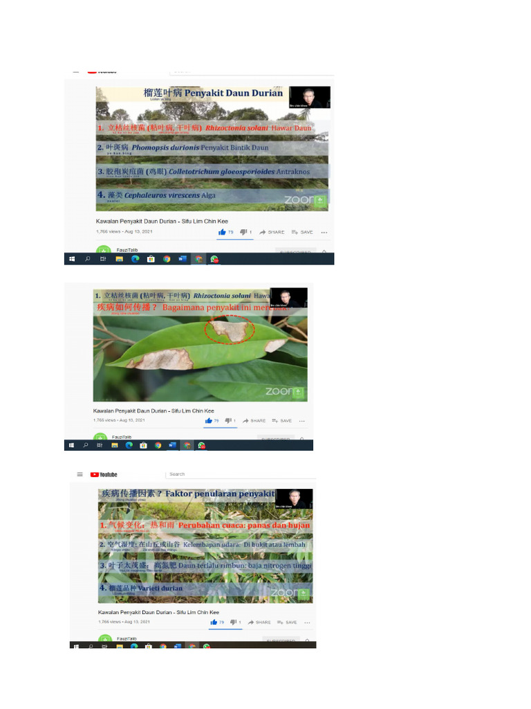 Penyakit Durian | PDF