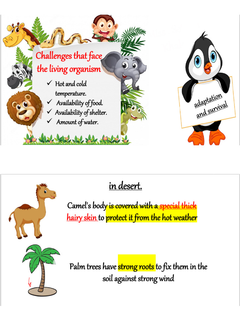 Science g4 Lesson1 | PDF